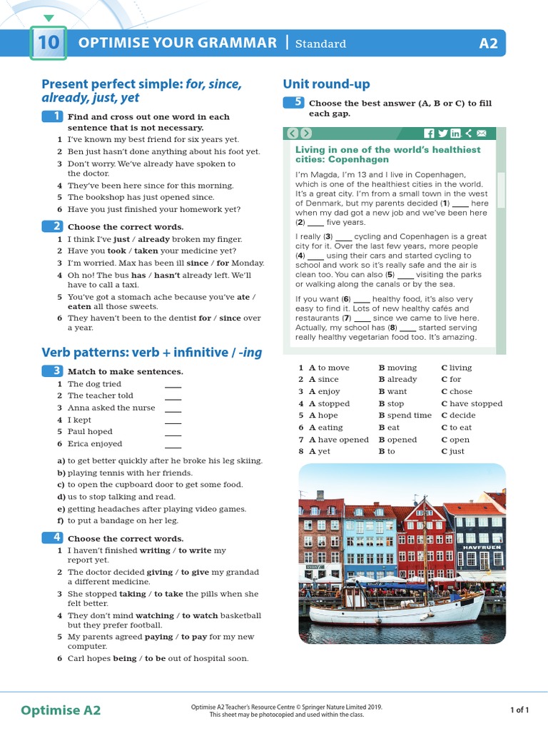 OPT A2 U10 Grammar Standard PDF | PDF