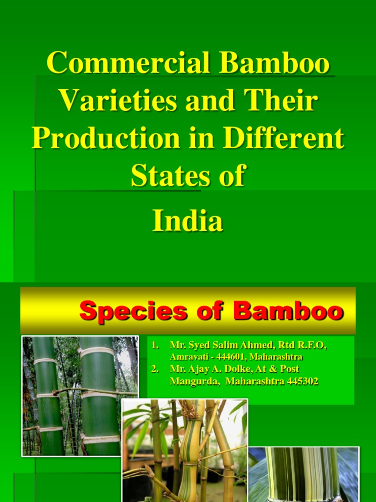 Technical Session 1 Commercial Bamboo Varieties and Their Production in ...