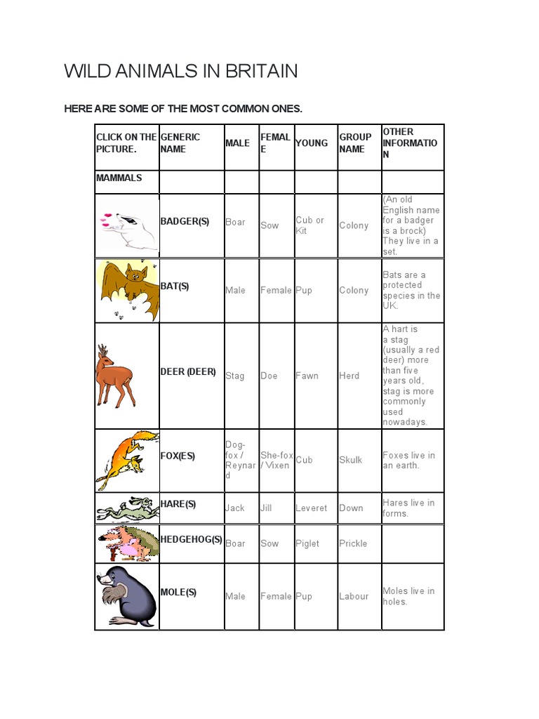 Animals Part 3 | PDF | Spawn (Biology) | Chicken