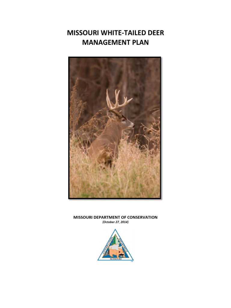 Deer Management Plan | PDF | White Tailed Deer | Hunting