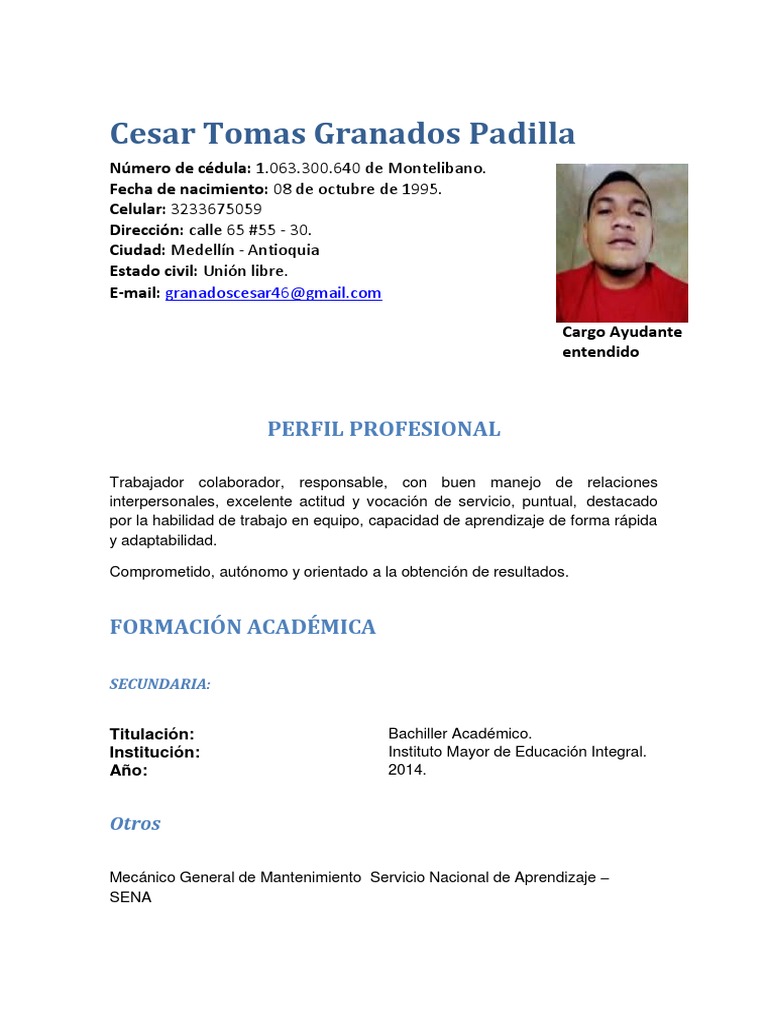 Hoja de Vida de Cesar Granados | PDF