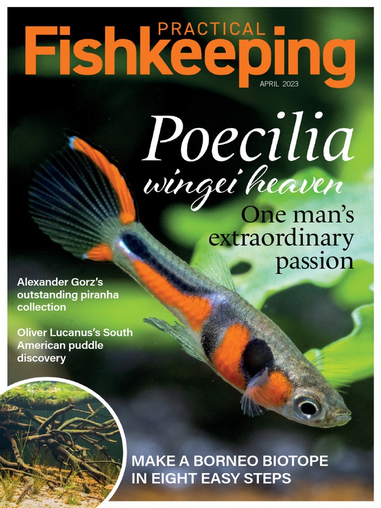 Practical Fishkeeping - April 2023 | PDF | Aquarium | Fishkeeping