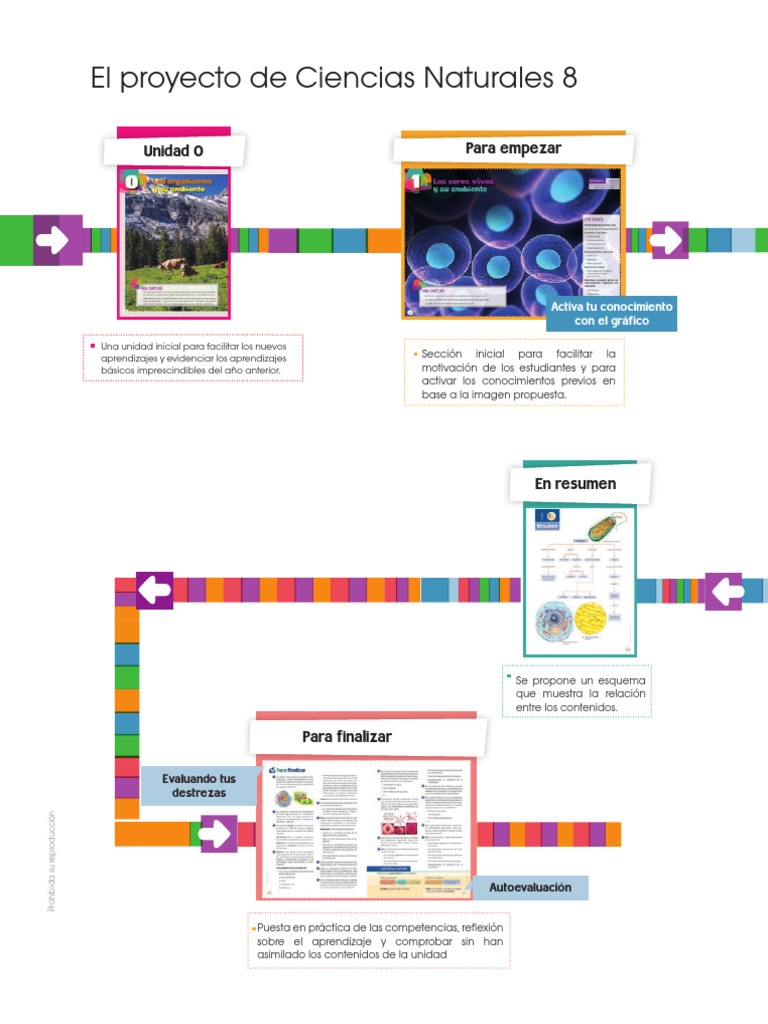 8 EGB INTEGRADO LYL MAT EESS CCNN Removed PDF | PDF | Biología Celular ...