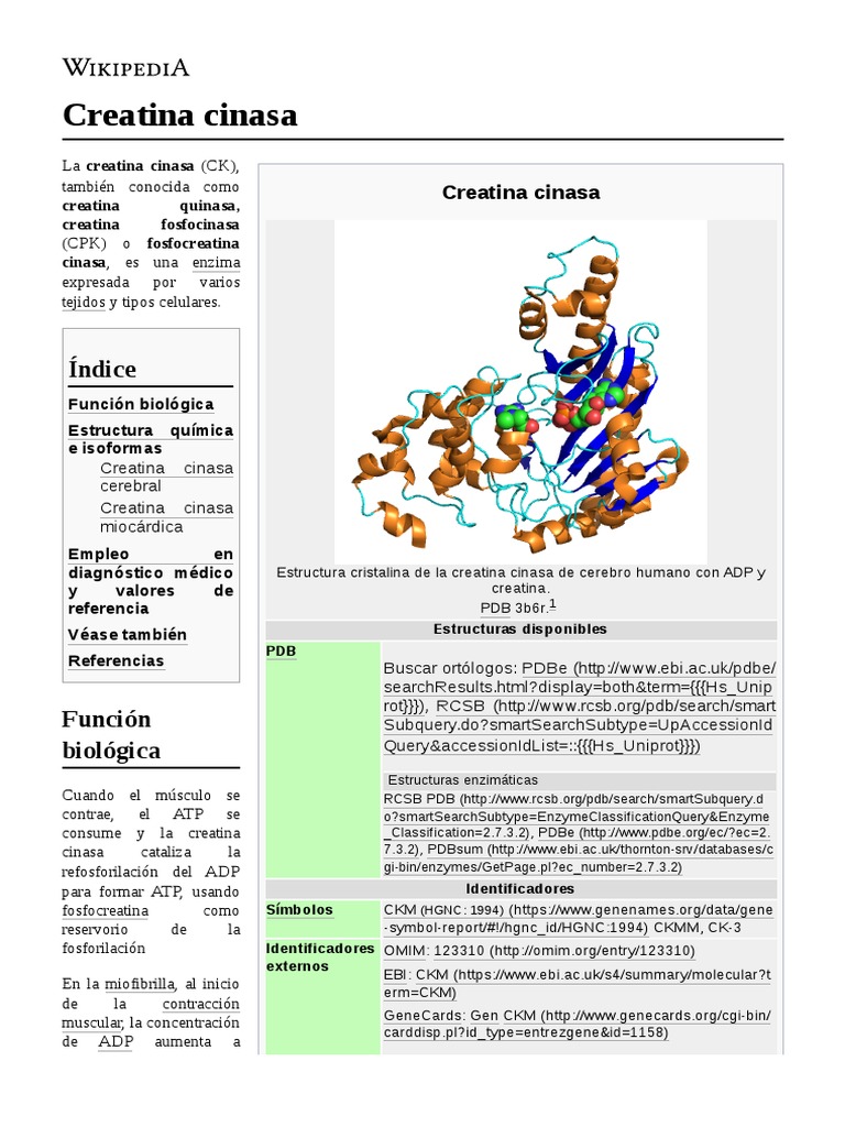 Creatina Cinasa | PDF | Quinasa | Infarto de miocardio