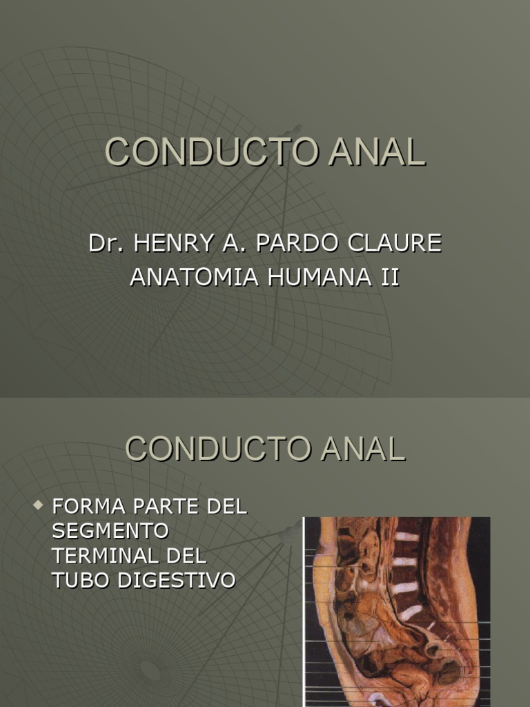 Conducto Anal | PDF