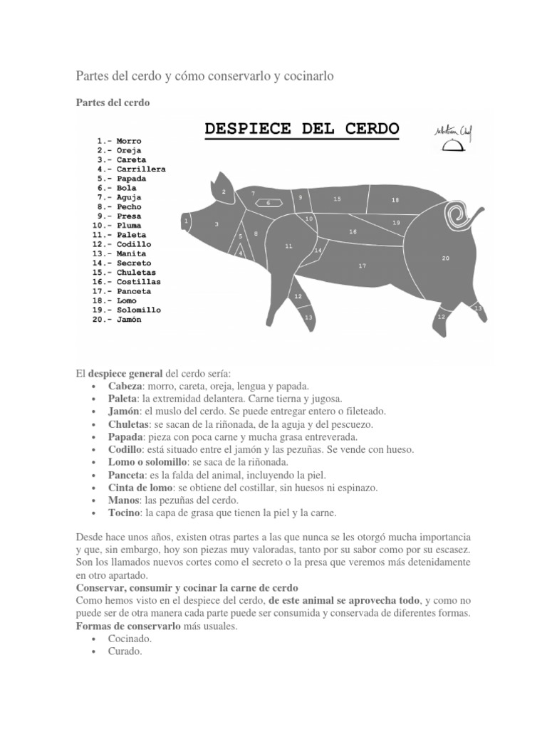 Partes Del Cerdo y Cómo Conservarlo y Cocinarlo | PDF | Cerdo | Tocino