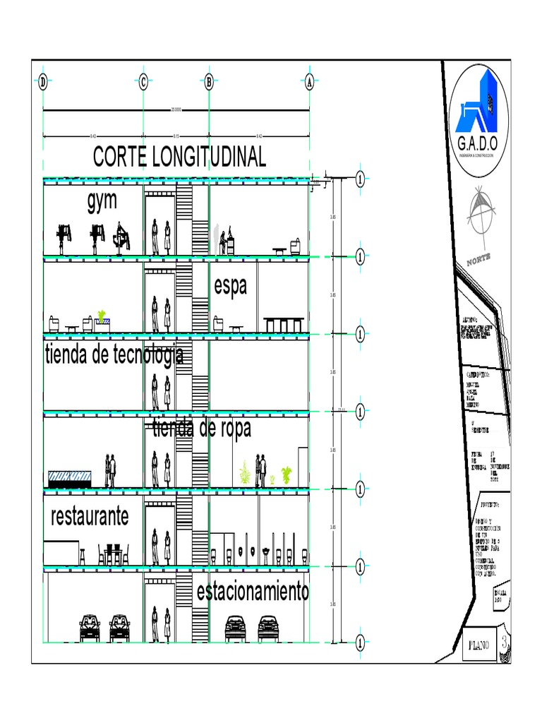 Corte Longitudinal | PDF