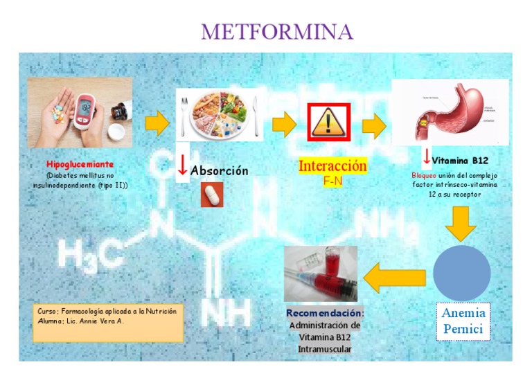 Infografia Metformina | PDF