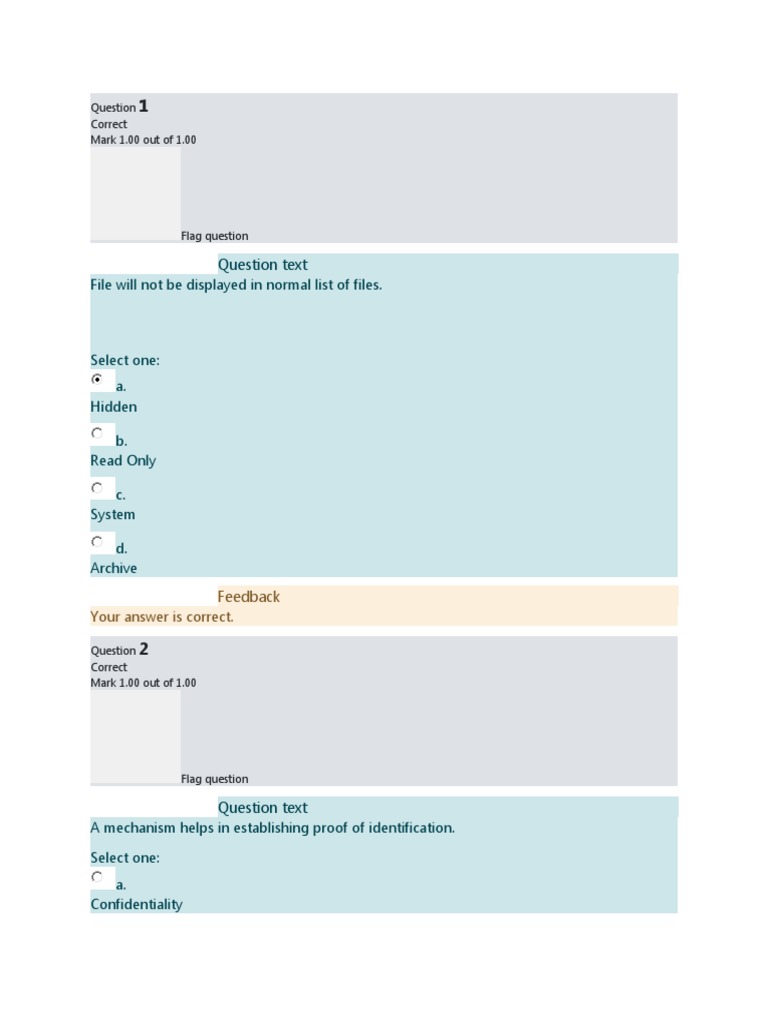 IT Security and File Management Quiz | PDF