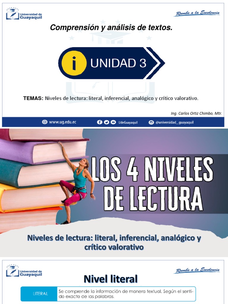 Niveles de Lectura: Comprensión y Análisis | PDF