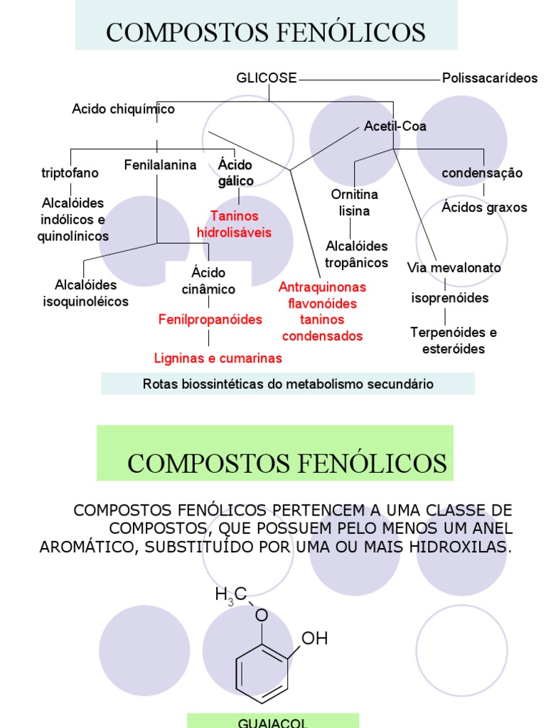 Rotas biossintéticas e classes de compostos fenólicos | PDF ...