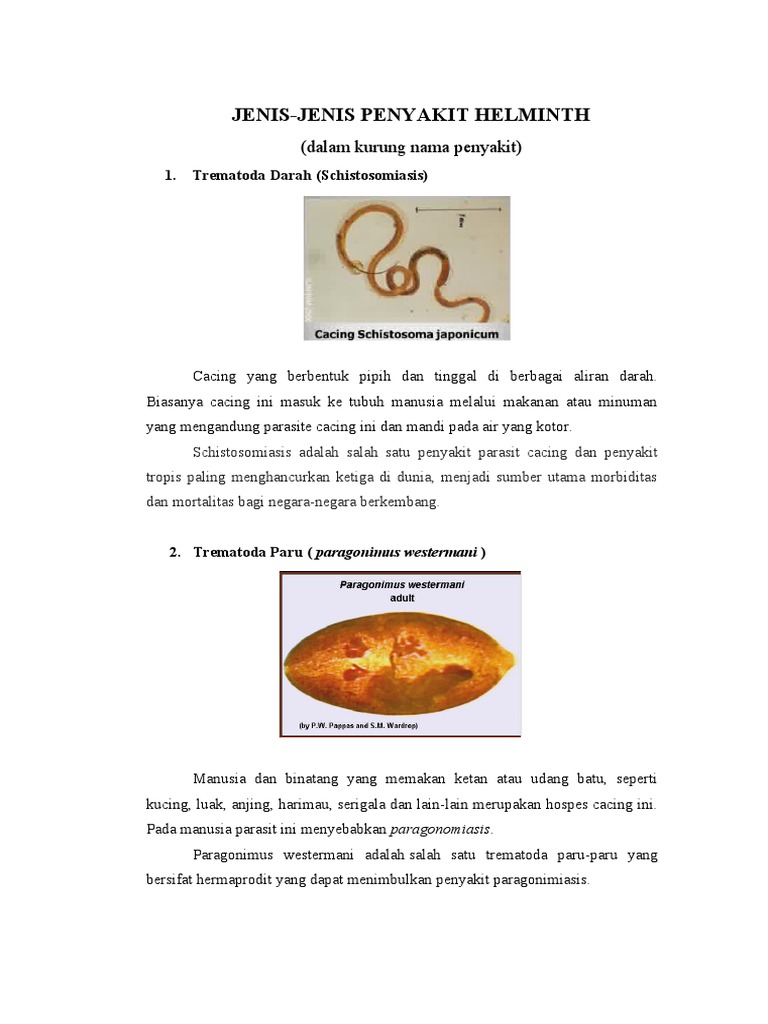 Jenis Jenis Penyakit Helminth | PDF