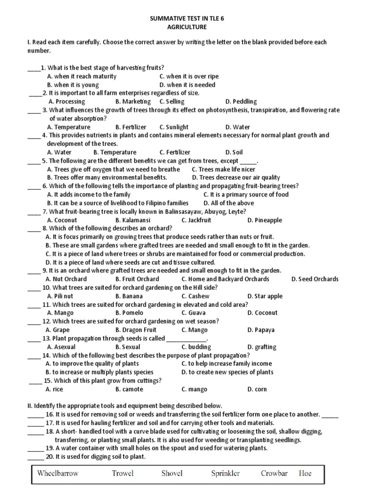 Summative Test in Tle 6 | PDF | Trees | Plants