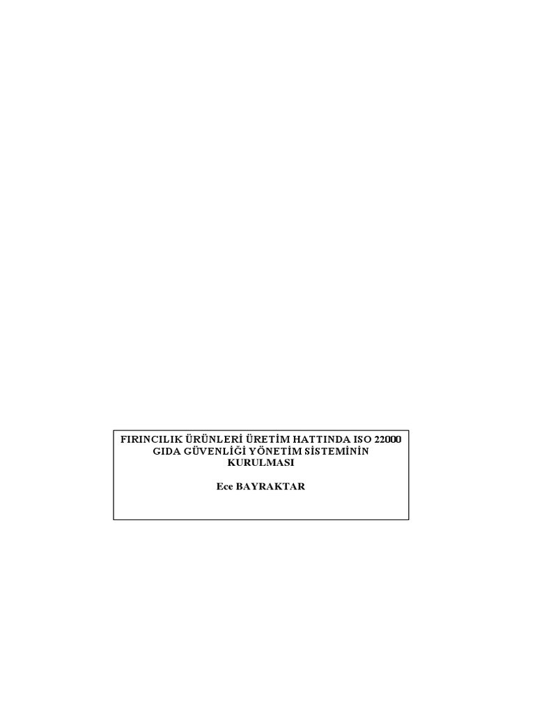 Ece Bayraktar PDF | PDF