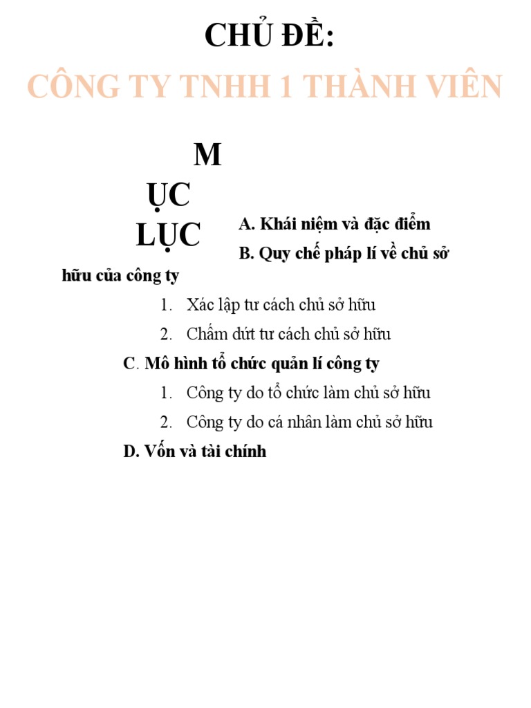 LKD Cty TNHH 1 Thành Viên Word | PDF