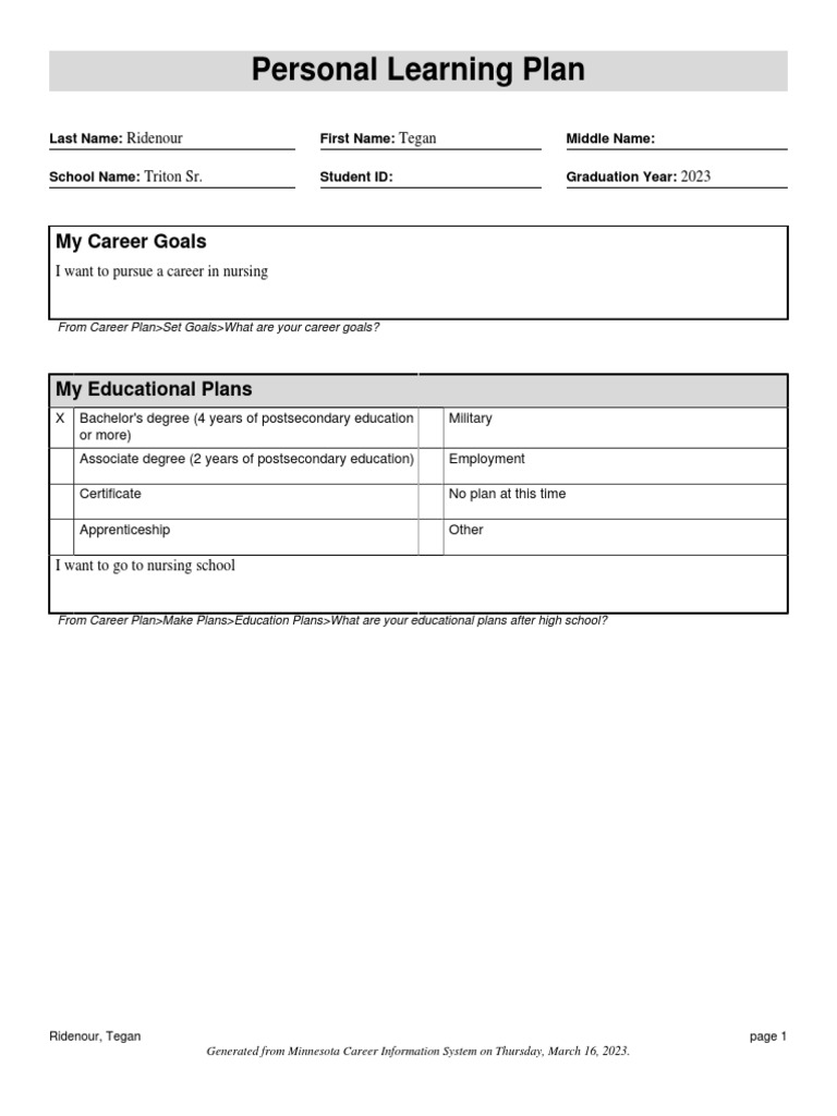 Personal Learning Plan | PDF | Nursing | Mentorship