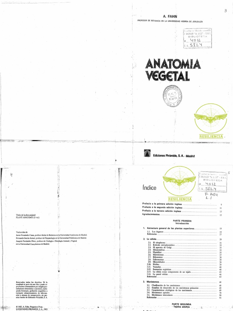 Anatomia Vegetal Fahn - Resiliencia PDF | PDF