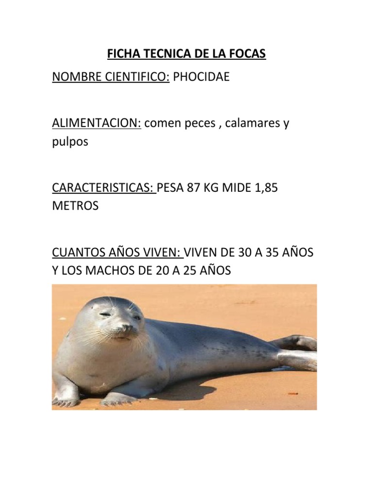 Ficha Tecnica de La Focas | PDF