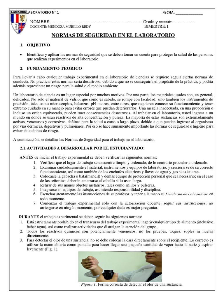 Normas de Seguridad en El Laboratorio | PDF | Laboratorios | Agua