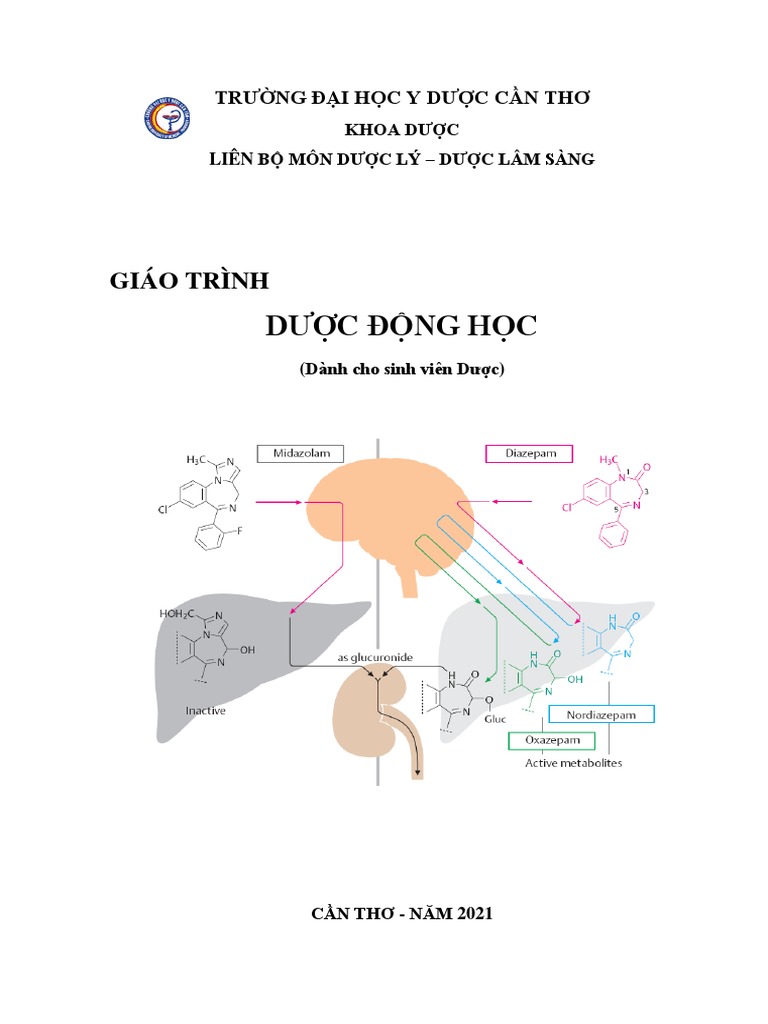 Giáo Trình DDH PDF | PDF