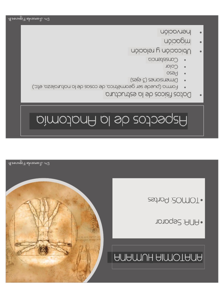 Anatomia Humana 1 Pdf