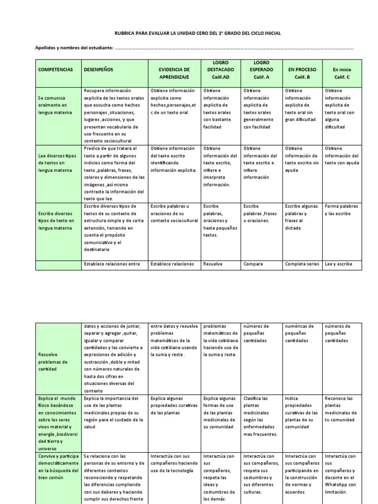 Rúbrica de Evaluación 1° Grado Primaria | PDF | Información | Sustracción