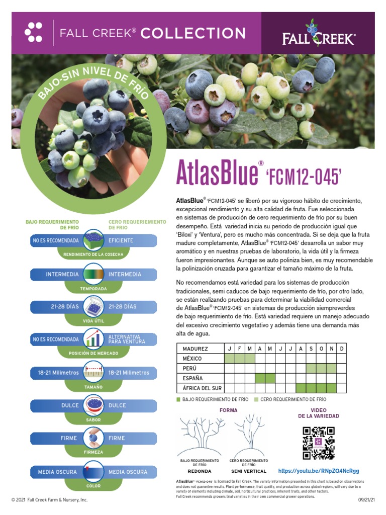 FCC_AtlasBlue_promo_pg1_ES_092121 | PDF | Plantas | Botánica