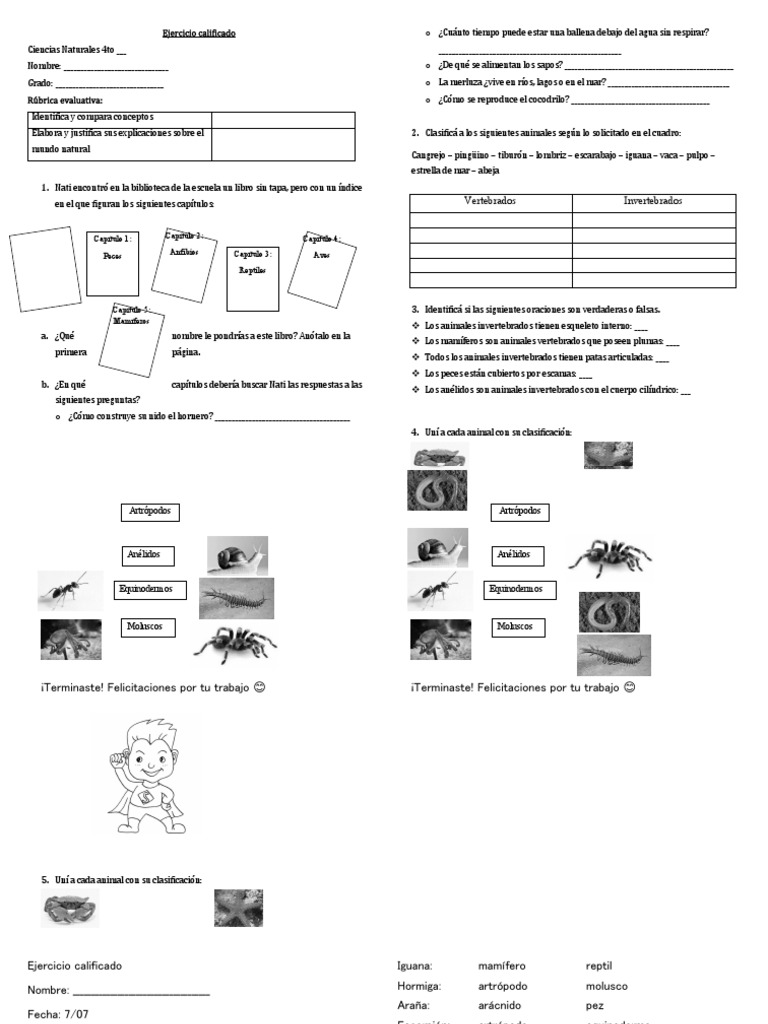 Actividades sobre Vertebrados e Invertebrados | PDF | Invertebrado ...