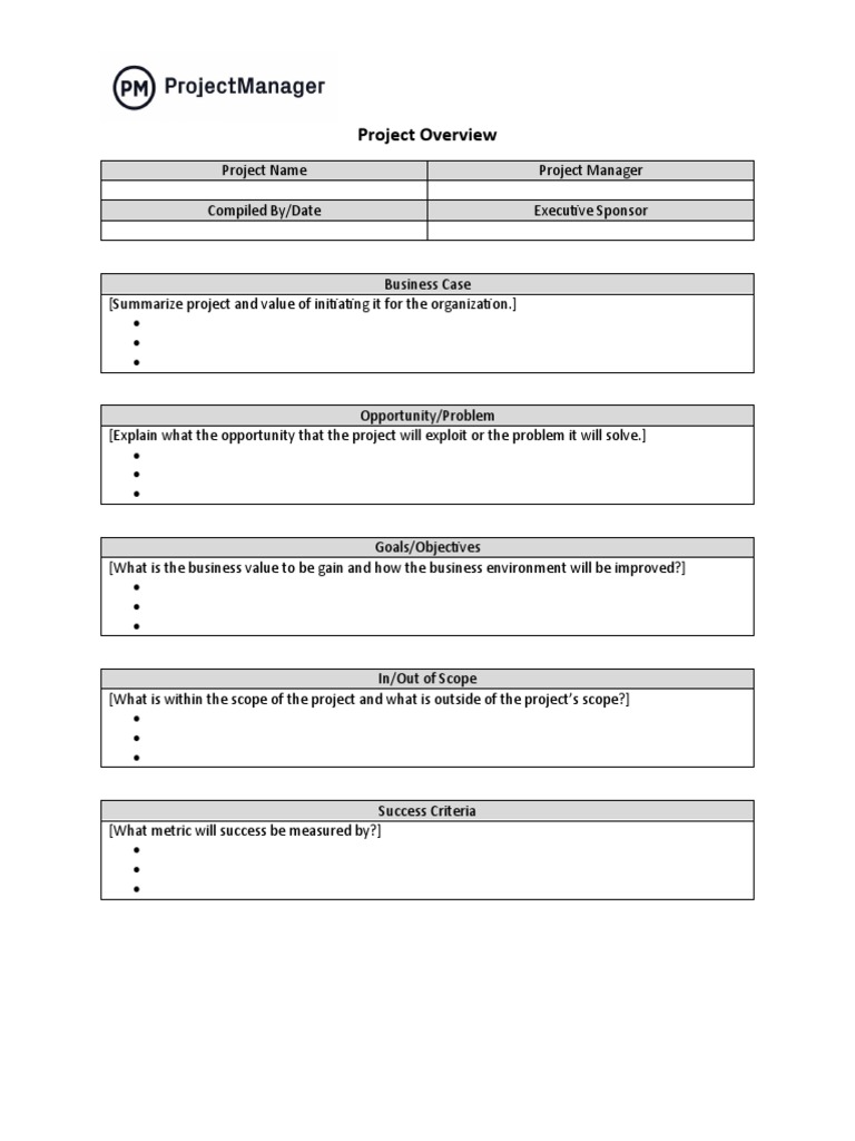 Free Project Overview Template ProjectManager ND | PDF