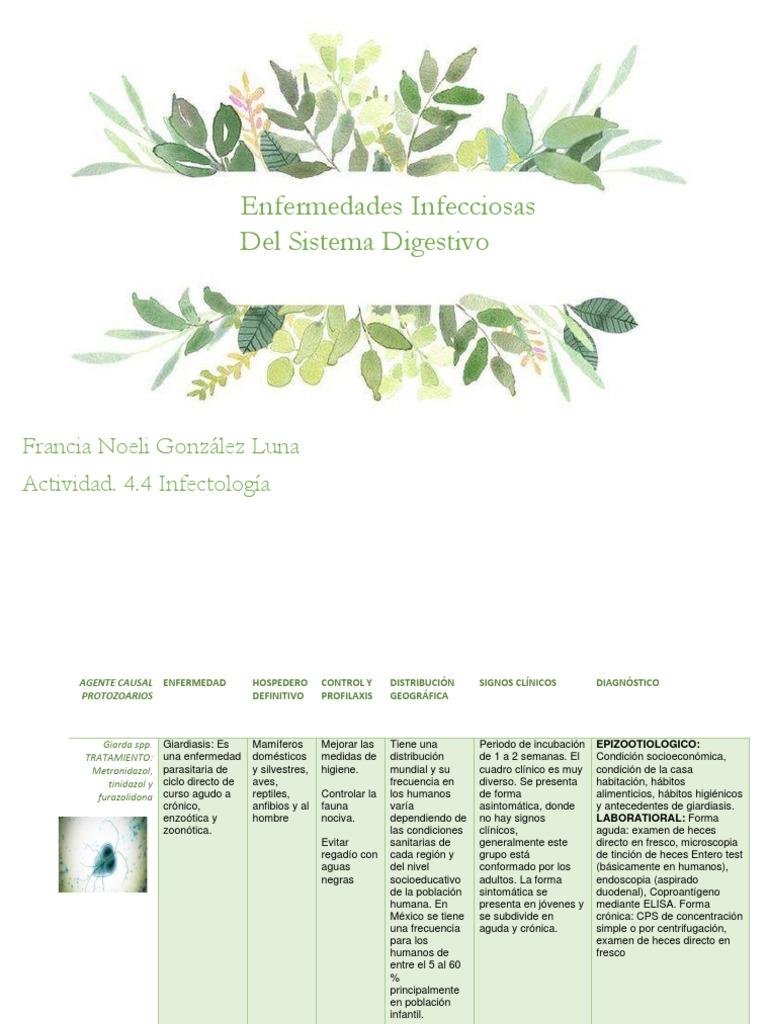 Enfermedades Infecciosas Del Sistema Digestivo Act 4 4 Pdf Pdf Enfermedades Y Trastornos