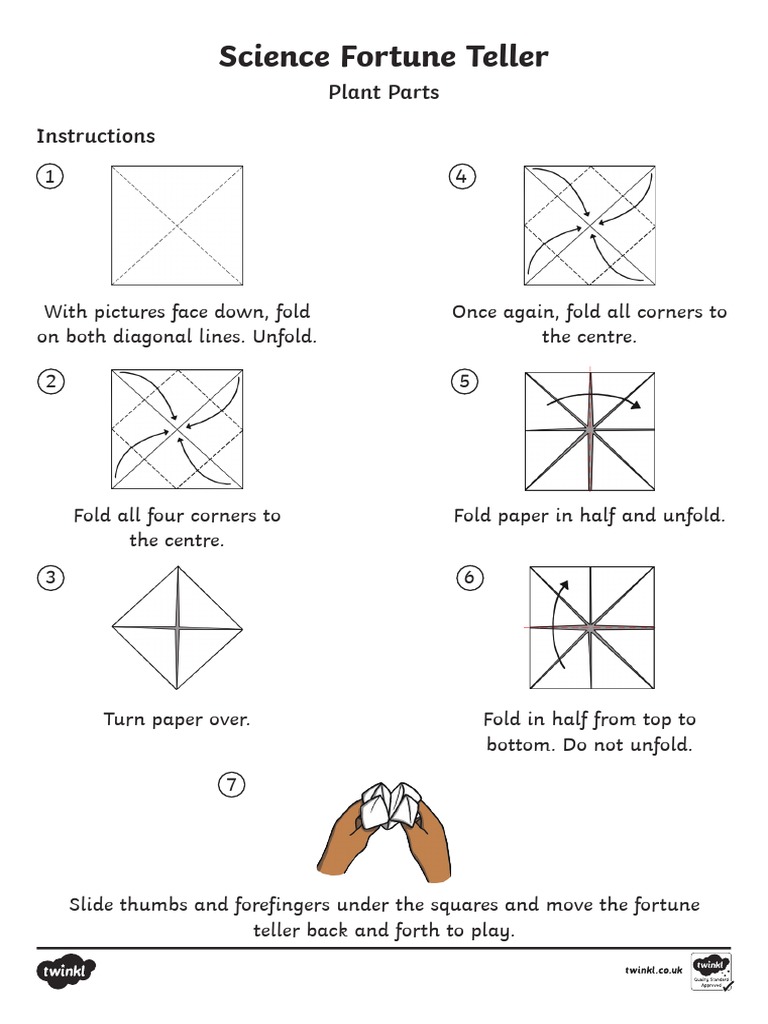 Plant Parts Fortune Teller Game | PDF