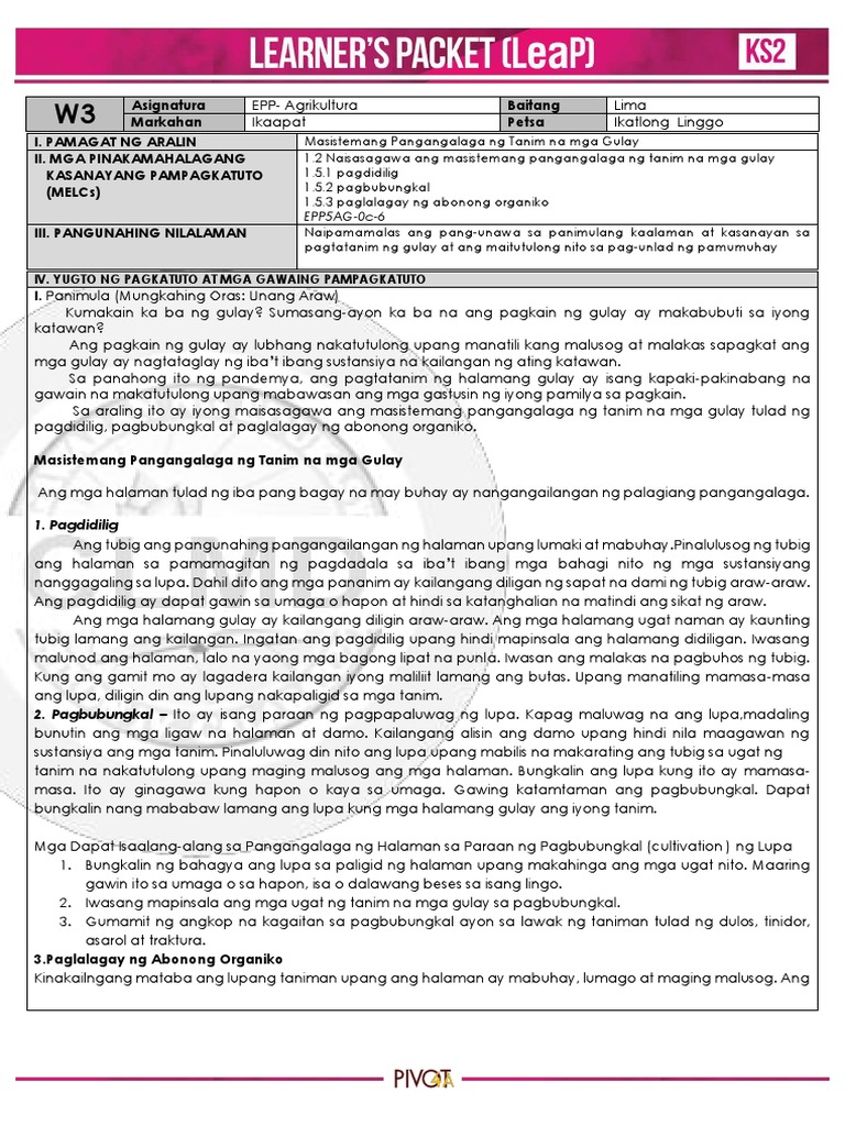 Q4 Elem AFA 5 Week3 | PDF