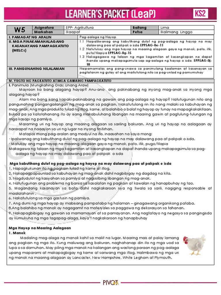 Q4 Elem AFA 5 Week5 PDF | PDF