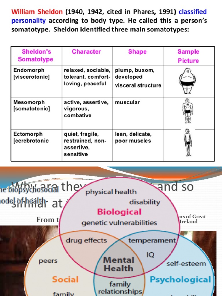 Biopsychosocial PDF | PDF | Self-Improvement | Wellness