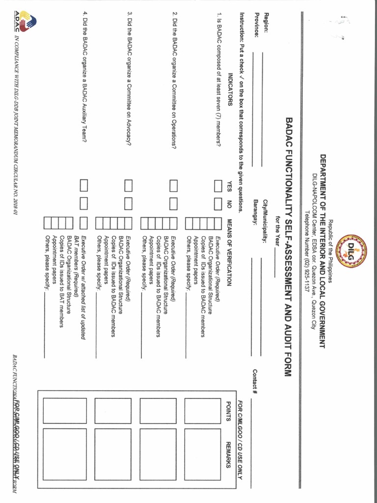 Badac Functionality Self Assessment and Audit Form | PDF