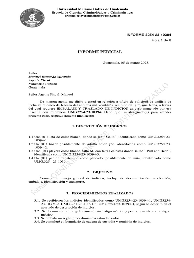 Ejemplo de Informe Pericial | PDF | La violencia contra las mujeres ...