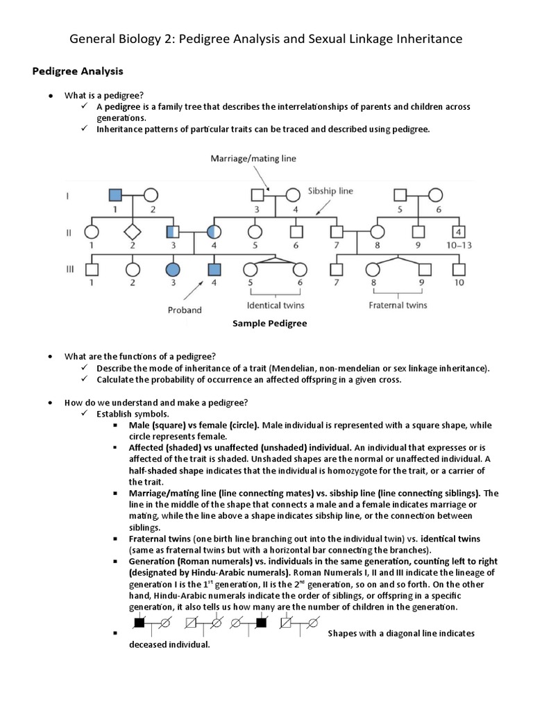 Pedigree and Sex Linkage Notes | PDF | Dominance (Genetics) | Genotype