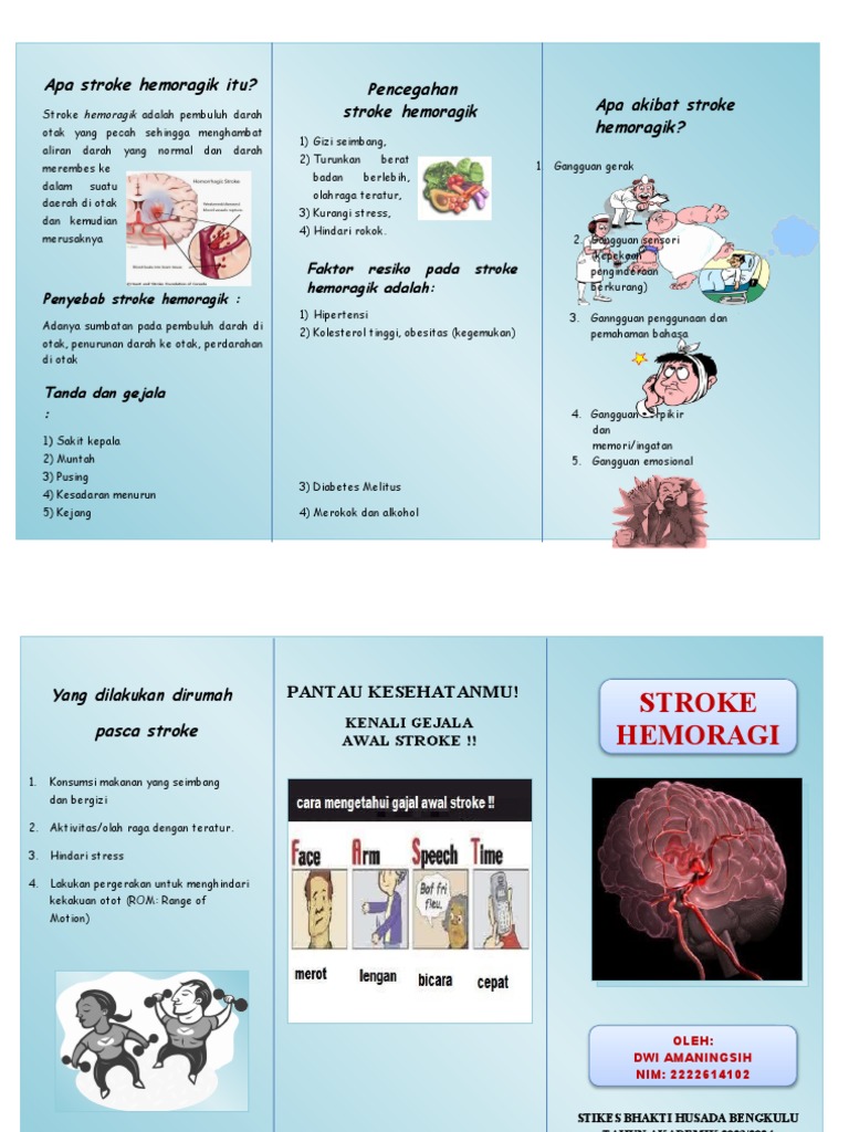 Leaflet Stroke Hemoragik Dwi Amaningsih. | PDF
