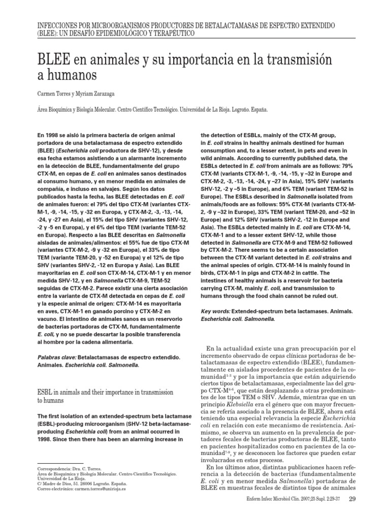 BLEE | PDF | Escherichia coli | Cerdo