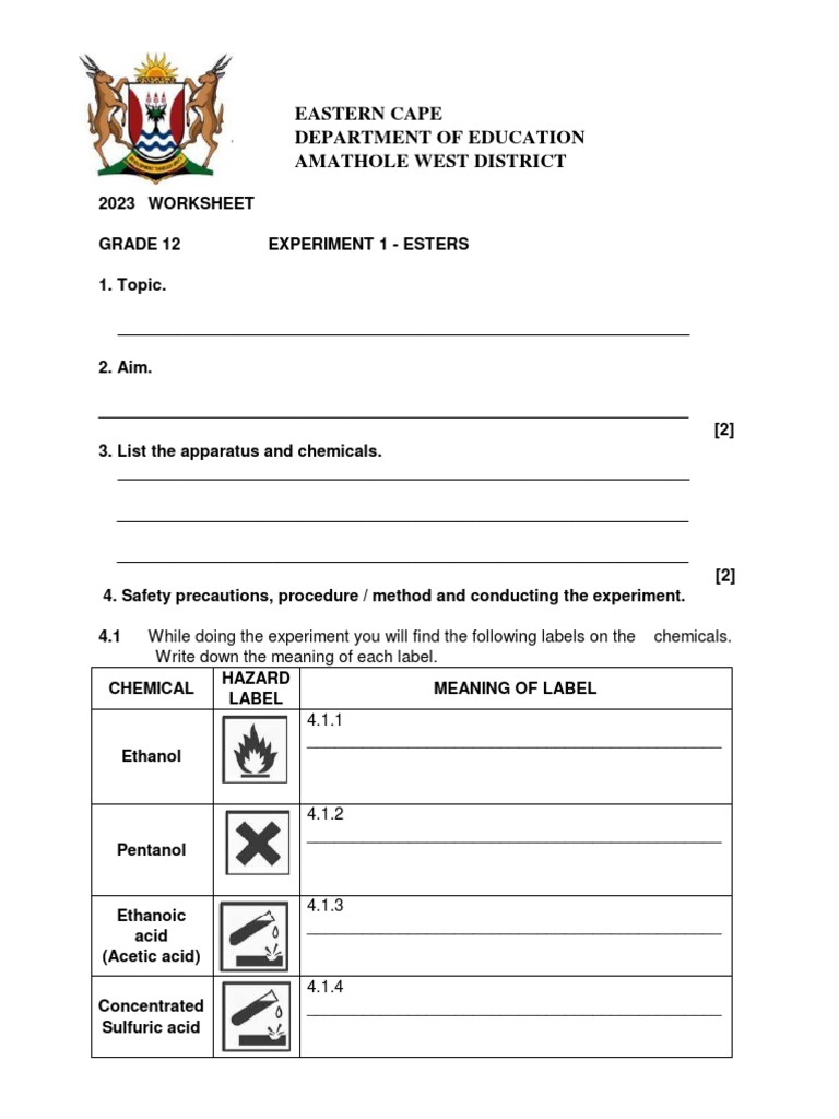 2023 Worksheet Esters PDF | PDF