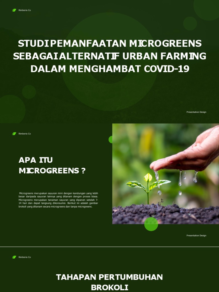 PPT_ORASI MICROGREENS | PDF