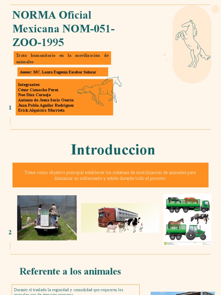 Nom 051 Zoo 1995 | PDF