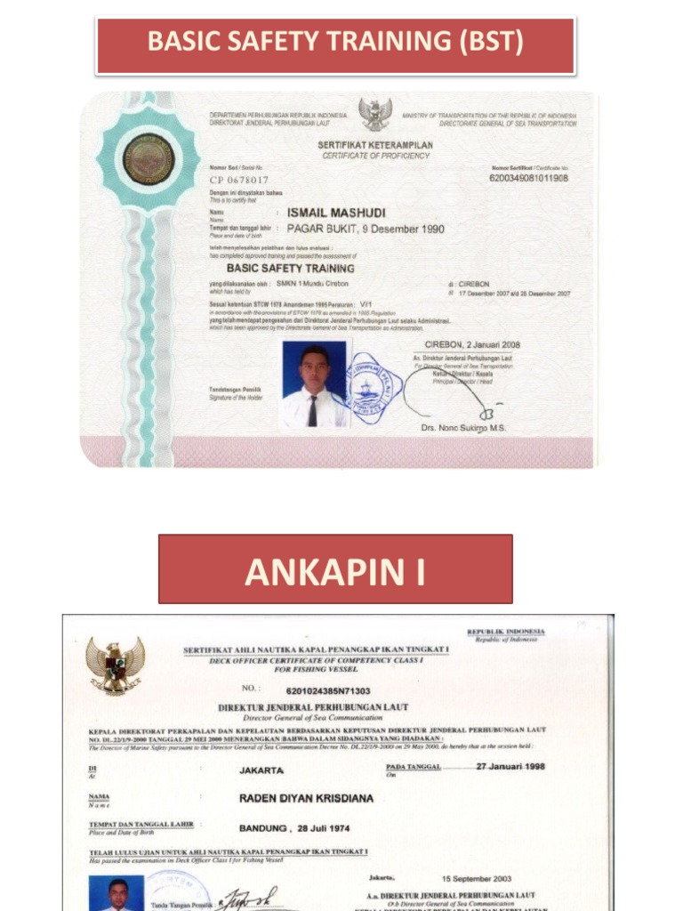 BST Dan Ankapin 1 | PDF