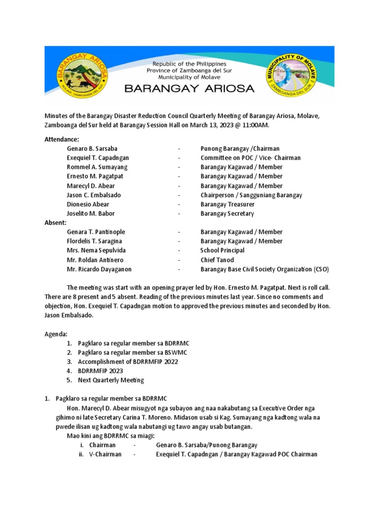 Minutes of The Barangay Disaster Reduction Council Quarterly Meeting of ...