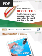 Rice Morphology and Growth Stages Guide | PDF | Rice | Seedling