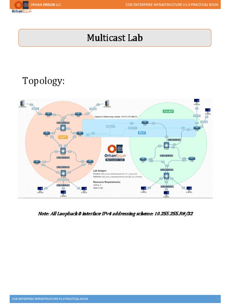 Multicast Part of The CCIE EI Workbook Orhan Ergun | PDF | Ip Address ...
