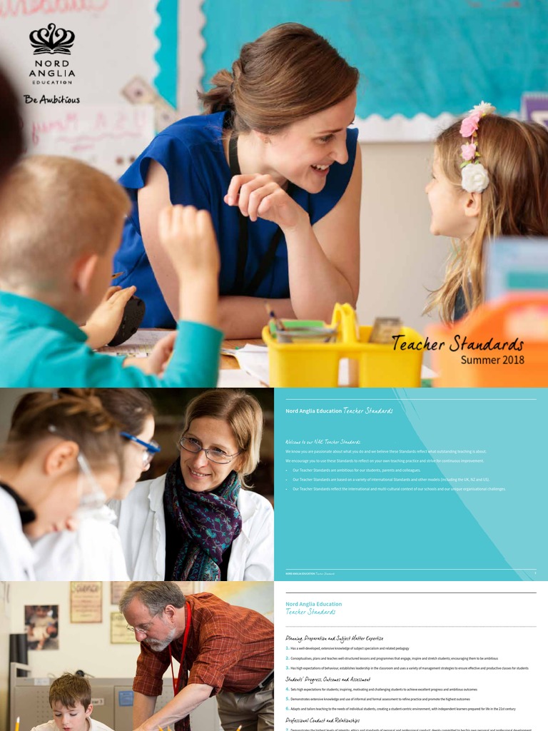 NAE Teacher Standards Summary | PDF | Teachers | Educational Assessment