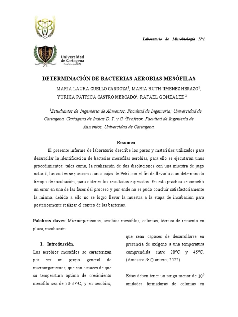 Informe Micro. Bacterias Aerobias Mesofilas 1 | PDF | Alimentos | Microorganismo