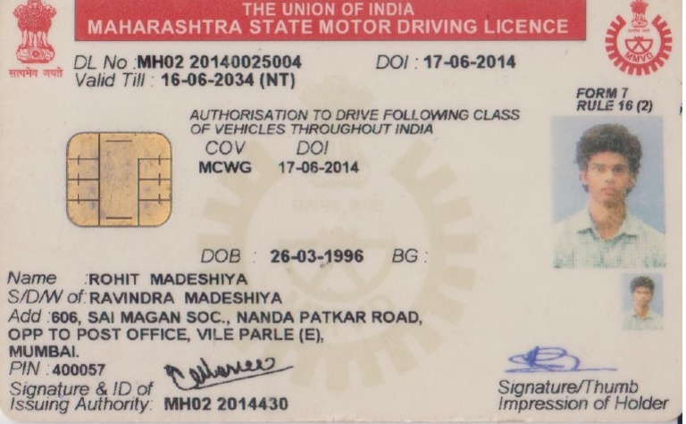 Driving License PDF | PDF