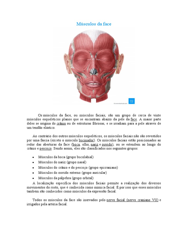 Músculos Da Face | PDF | Rosto | Olho humano